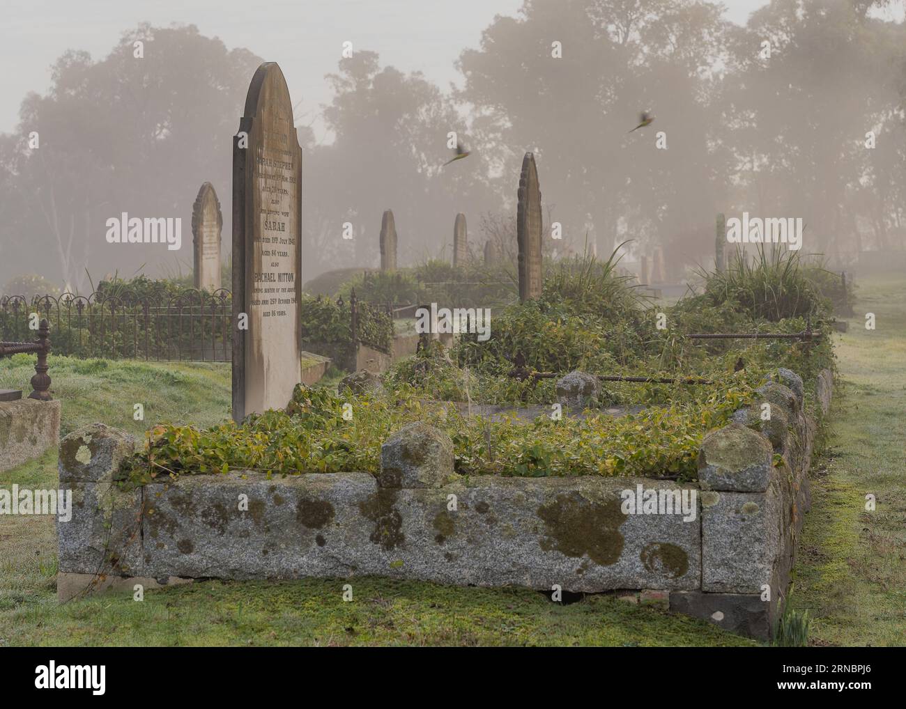 Australian cemetery hi-res stock photography and images - Alamy