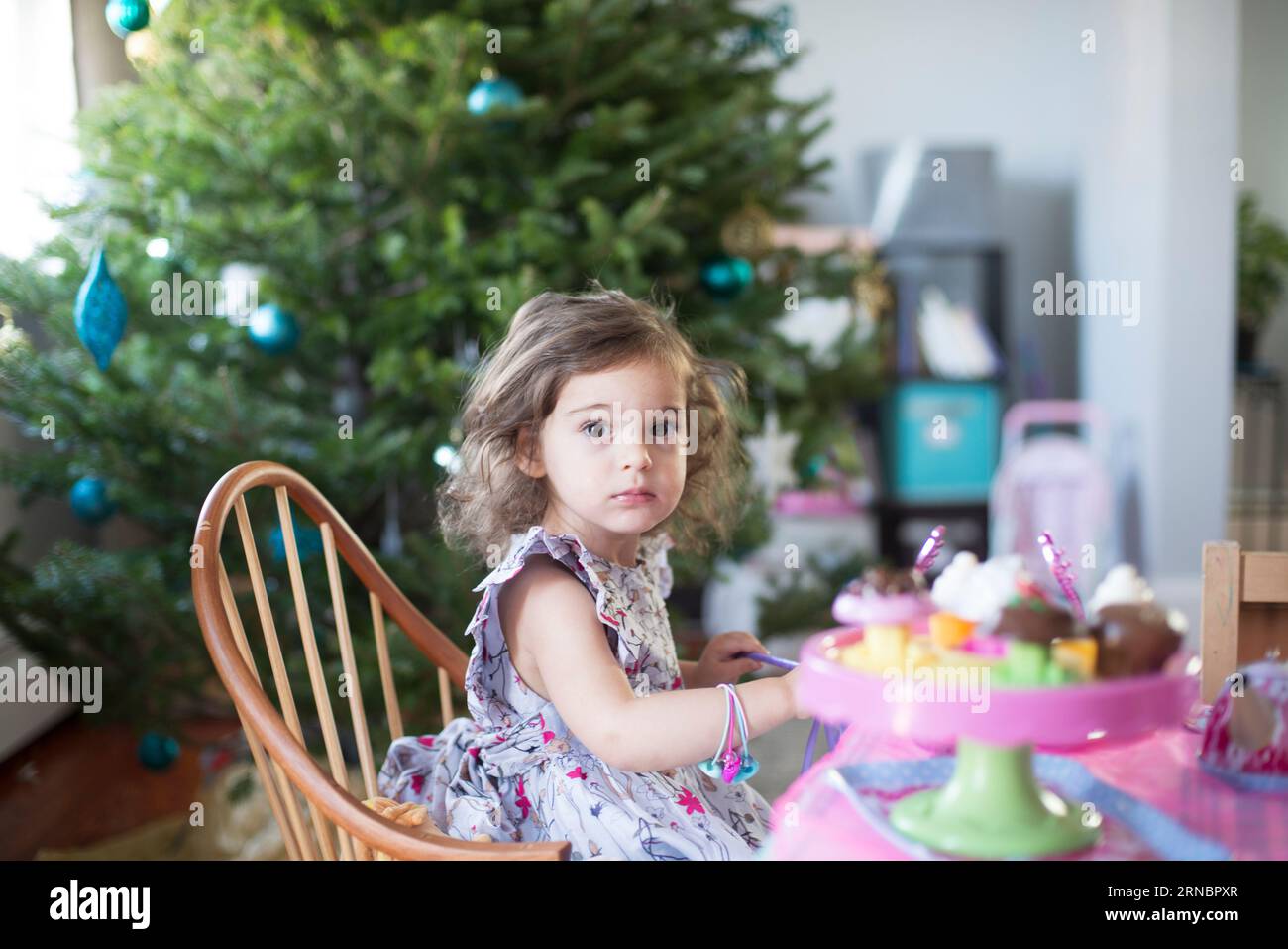 Princess trees hi-res stock photography and images - Alamy