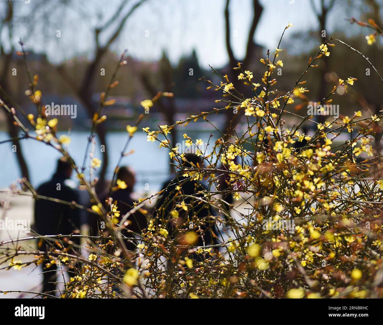 Ratgebercreative hi-res stock photography and images - Alamy