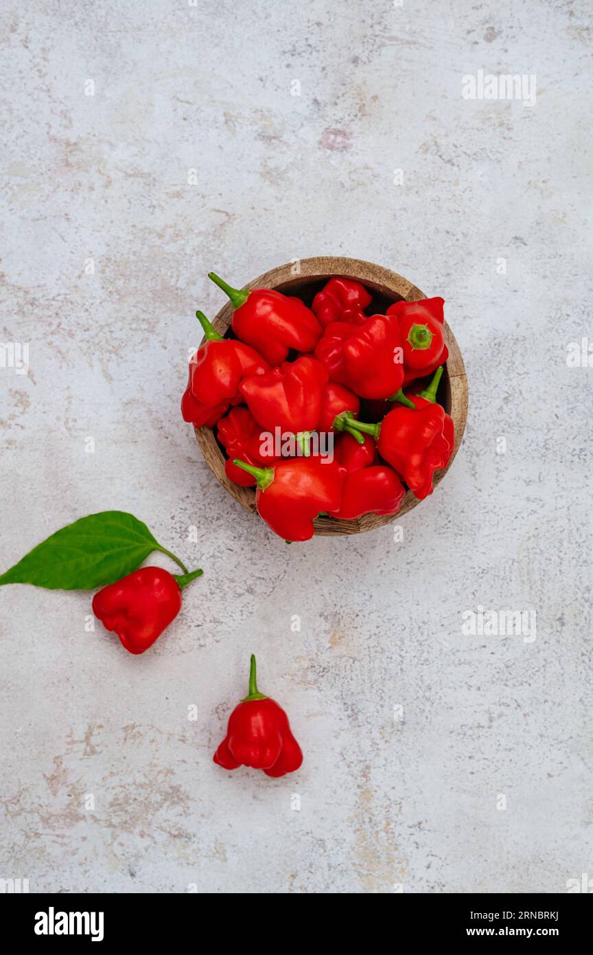 Fresh and Healthy Red Chili Peppers and very spicy Stock Photo - Alamy