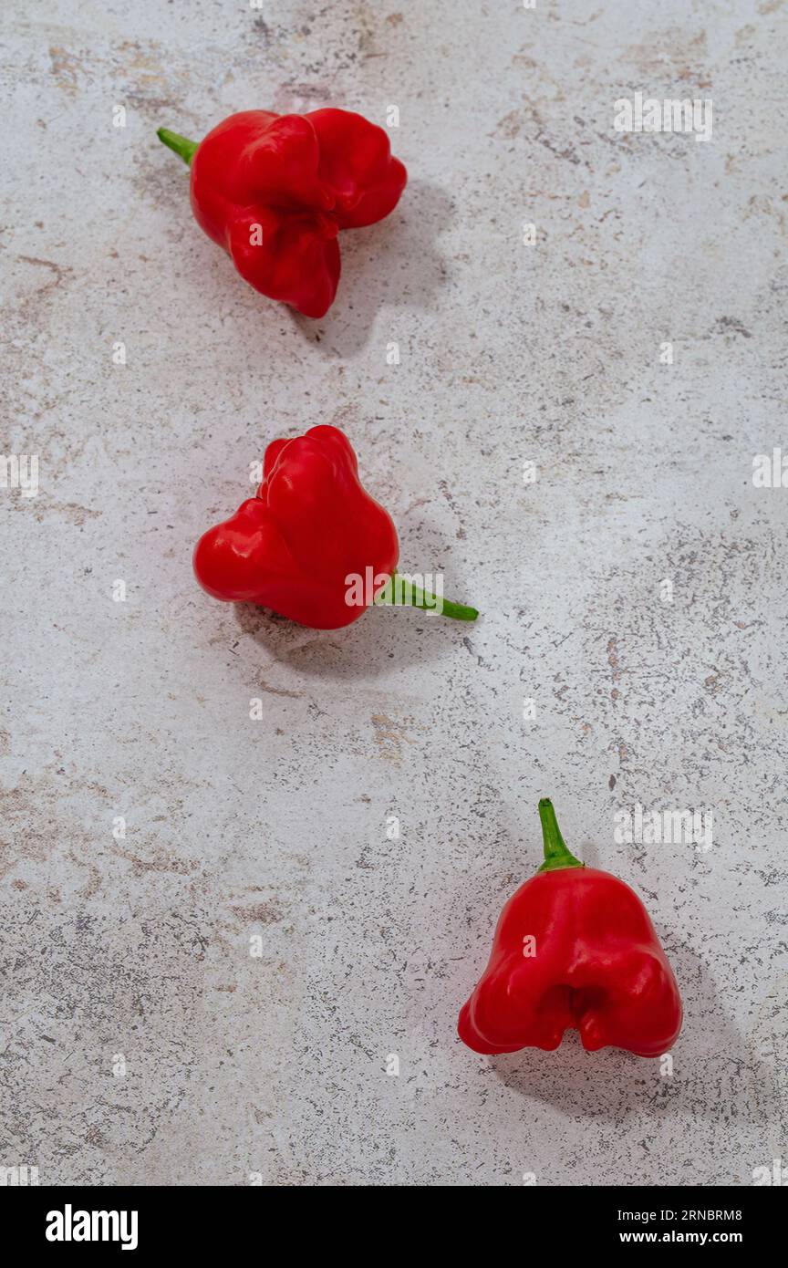 Fresh and Healthy Red Chili Peppers and very spicy Stock Photo - Alamy