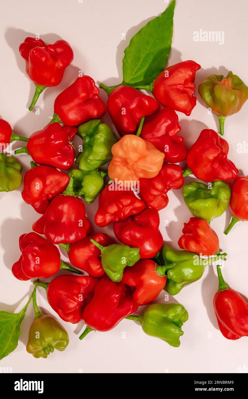 Prevent and treat scurvy hi-res stock photography and images - Alamy