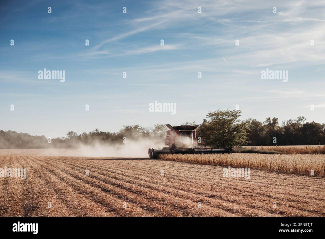Combine harvesting soybeans during autumn harvest Stock Photo - Alamy