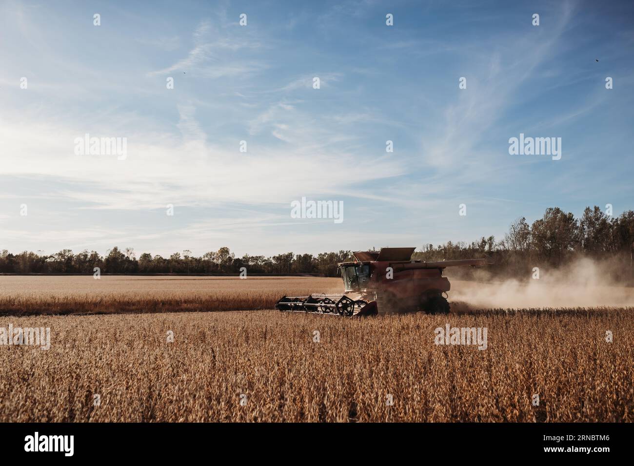 Combine harvesting soy beans hi-res stock photography and images - Alamy