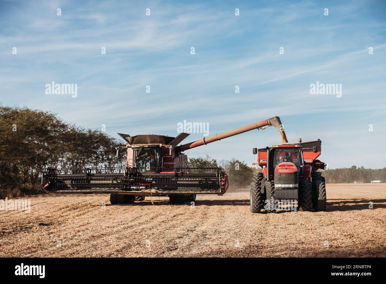 Harvester pouring grain wheat trailer hi-res stock photography and ...