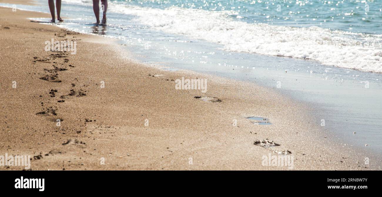 Footprints in the sand on a beautiful beach Stock Photo - Alamy