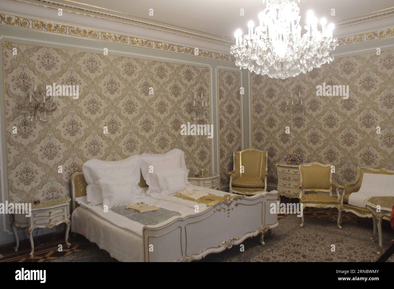 BUCHAREST, March 12, 2016 -- Photo taken on March 12, 2016 shows an ...