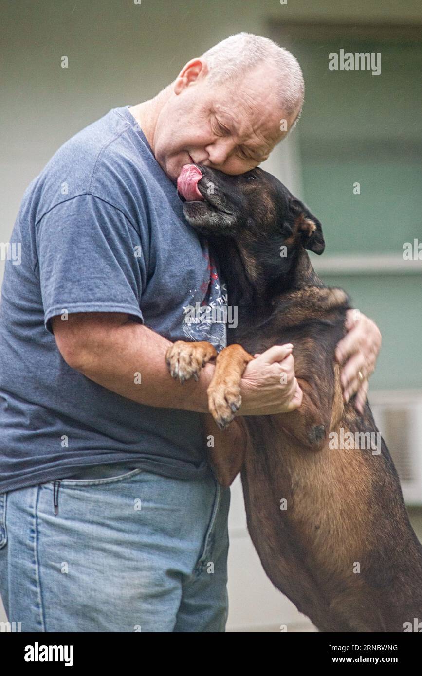 Dog licking man hi-res stock photography and images - Alamy