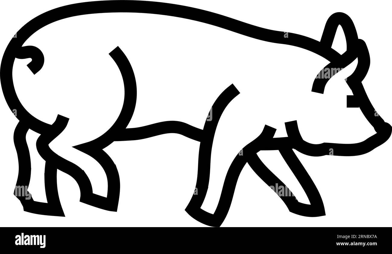 Pig piglet running Black and White Stock Photos & Images - Alamy