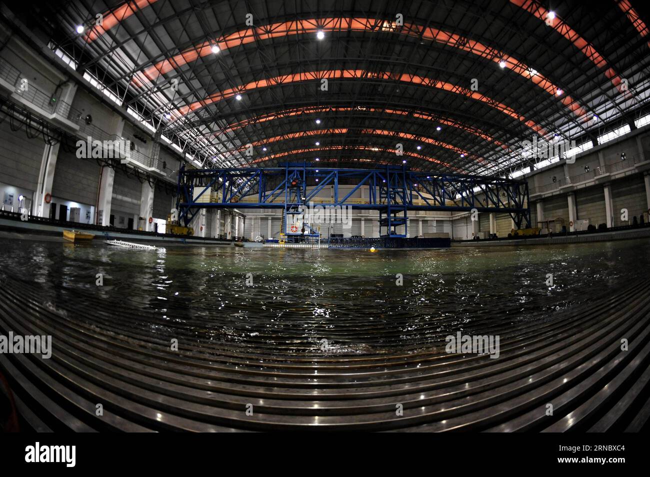 SHANGHAI, March 12, 2016 -- Photo taken on March 12, 2016 shows a ...