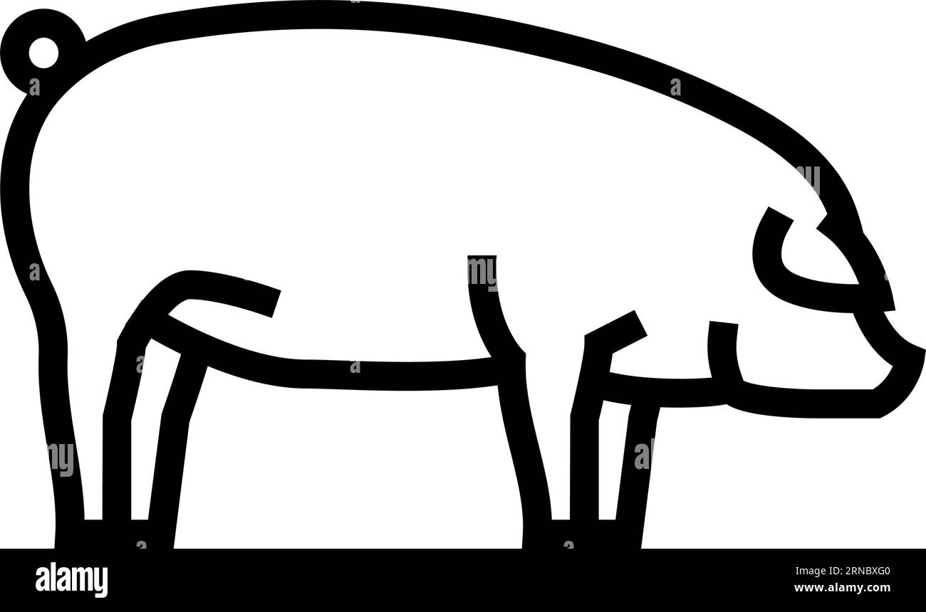 landrace pig breed line icon vector illustration Stock Vector Image ...