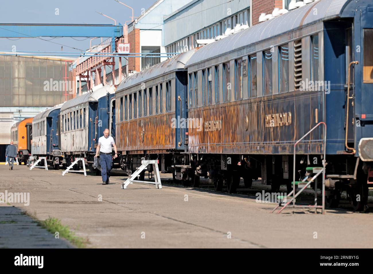 Halberstadt, Germany. 01st Sep, 2023. The famous "Rheingold" train is ...