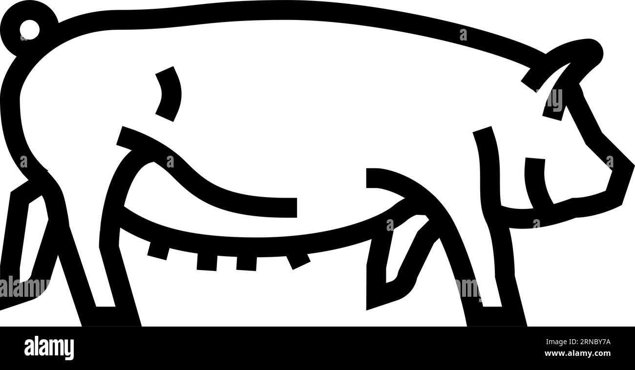 yorkshire pig breed line icon vector illustration Stock Vector Image ...