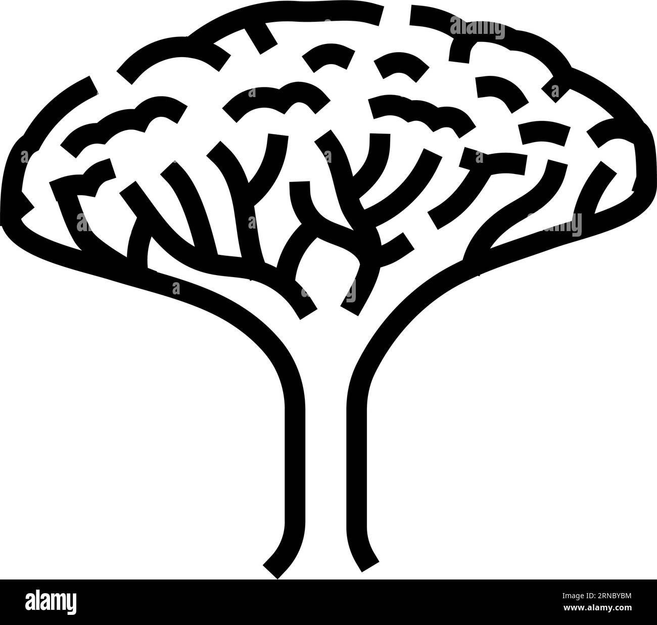 dragon blood tree line icon vector illustration Stock Vector Image ...