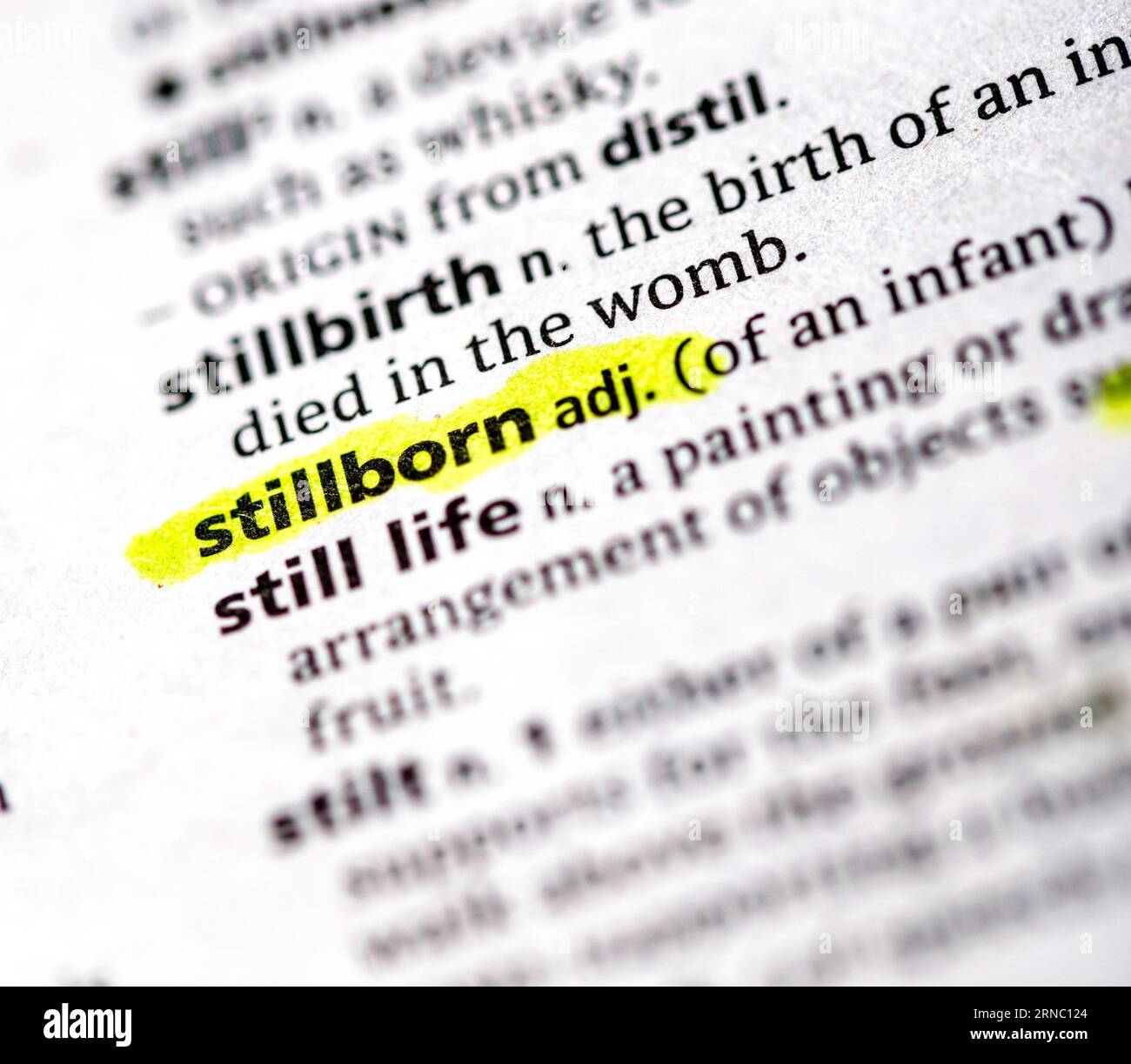 Stillborn hi-res stock photography and images - Alamy