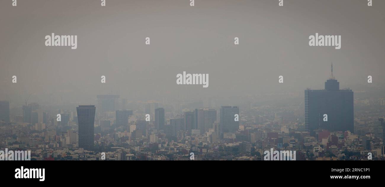 (160317) -- MEXICO CITY, March 17, 2016 -- Photo taken on March 17 ...