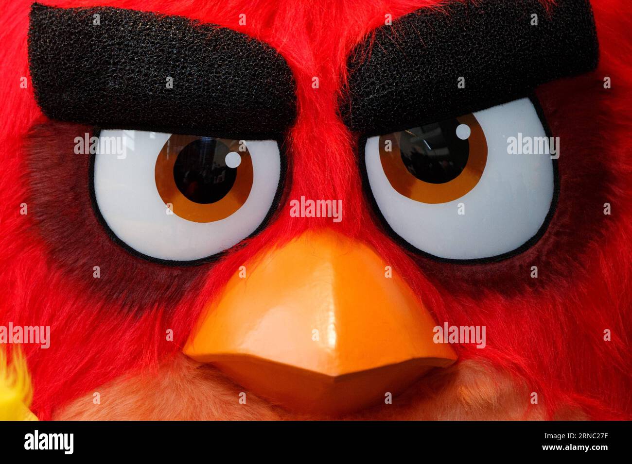 Angry birds movie hi-res stock photography and images - Alamy