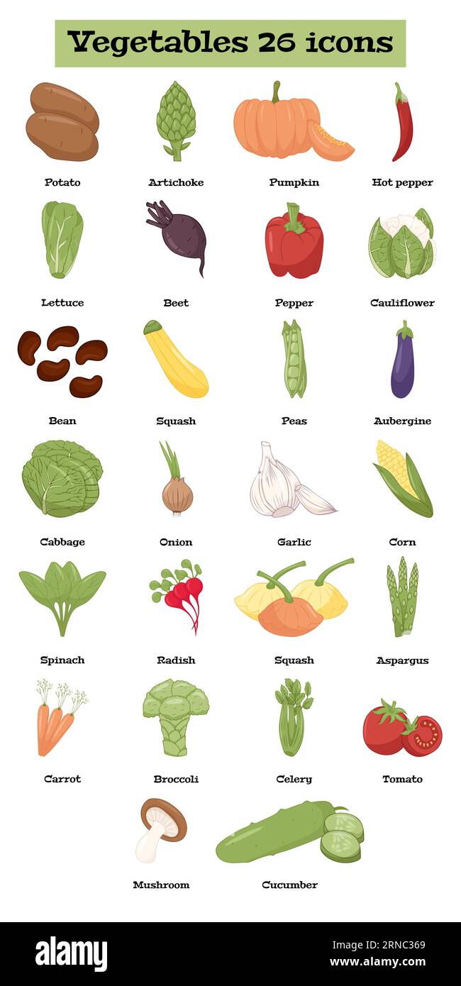 Vegetable Icons set 26 types of colorful Vegetables list with names.Can ...
