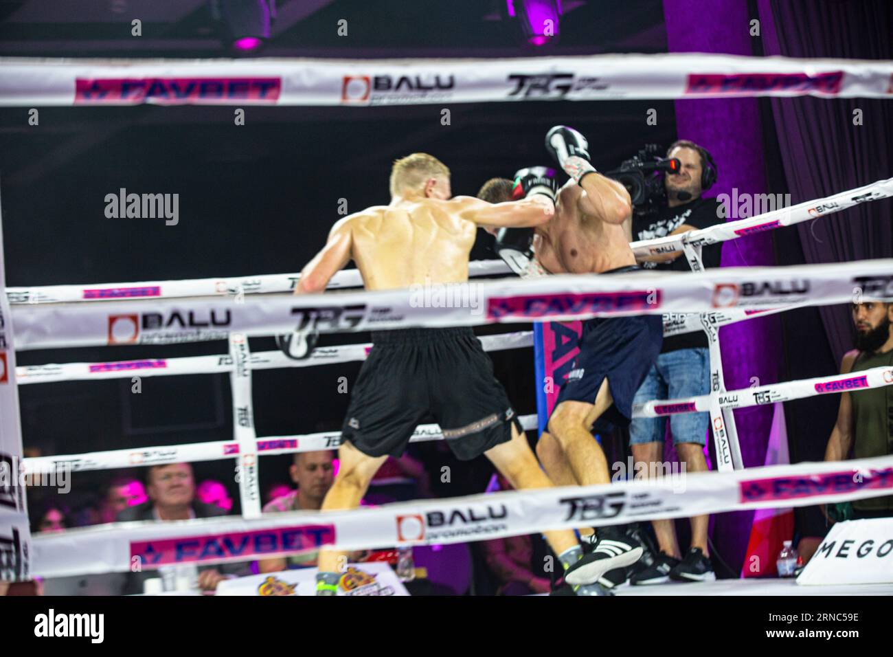 Brave southpaw hi-res stock photography and images - Alamy