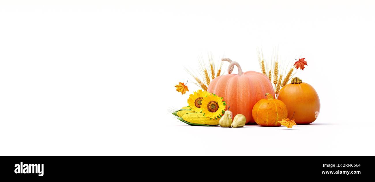 Autumn seasonal concept with pumpkins and fall decorations on white ...