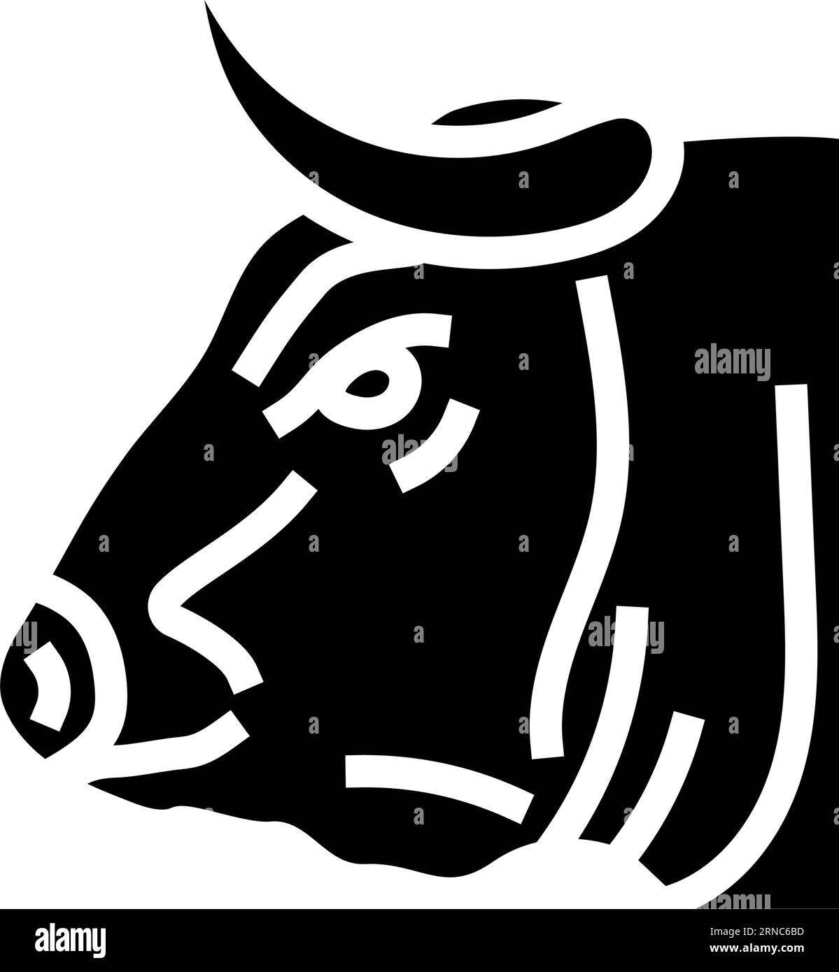 Holstein bull Black and White Stock Photos & Images - Alamy