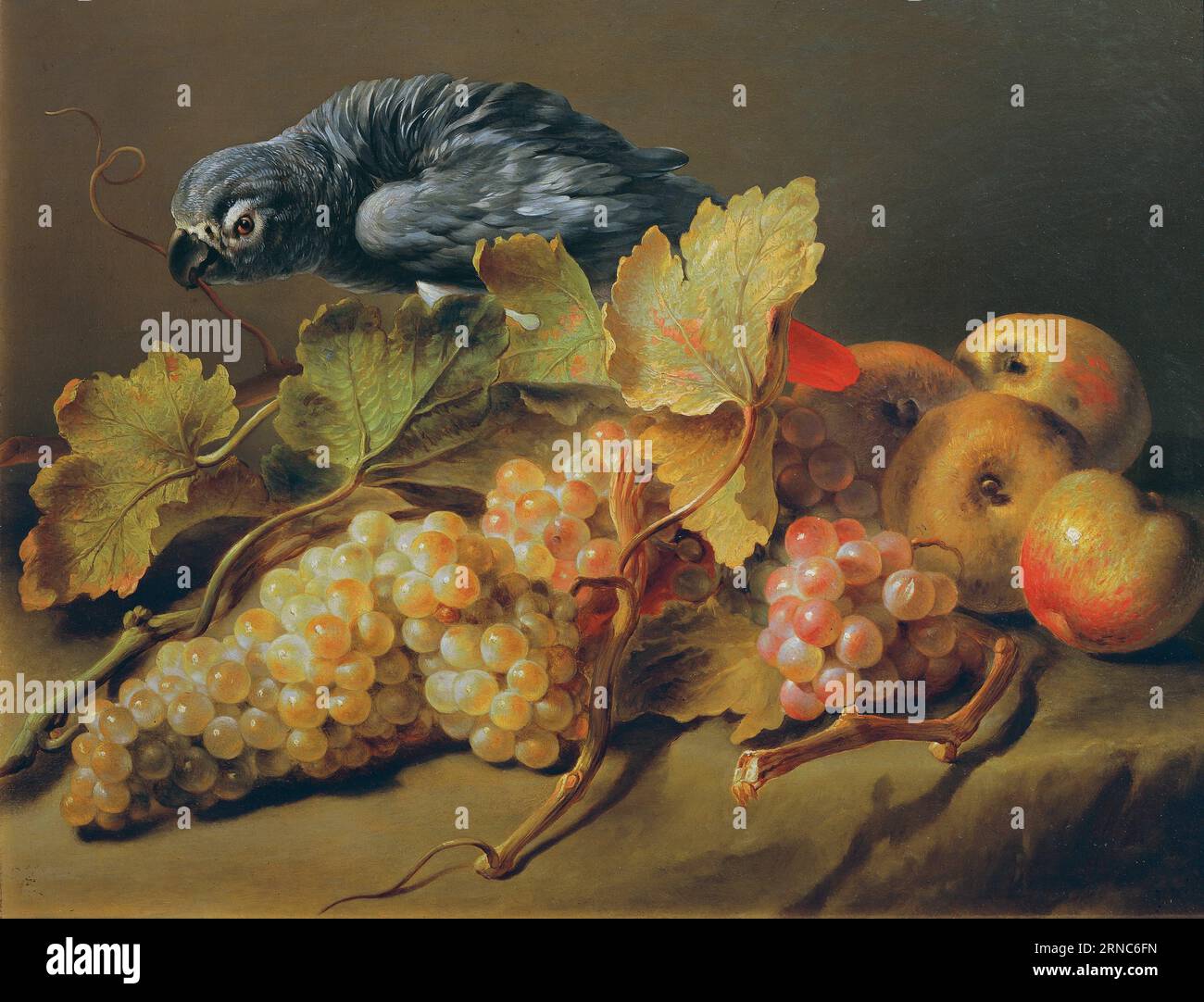 Engert hi-res stock photography and images - Alamy