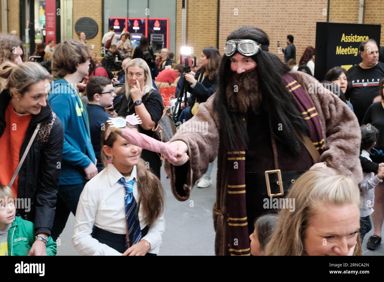 Draco malfoy half blood prince hi-res stock photography and images - Alamy