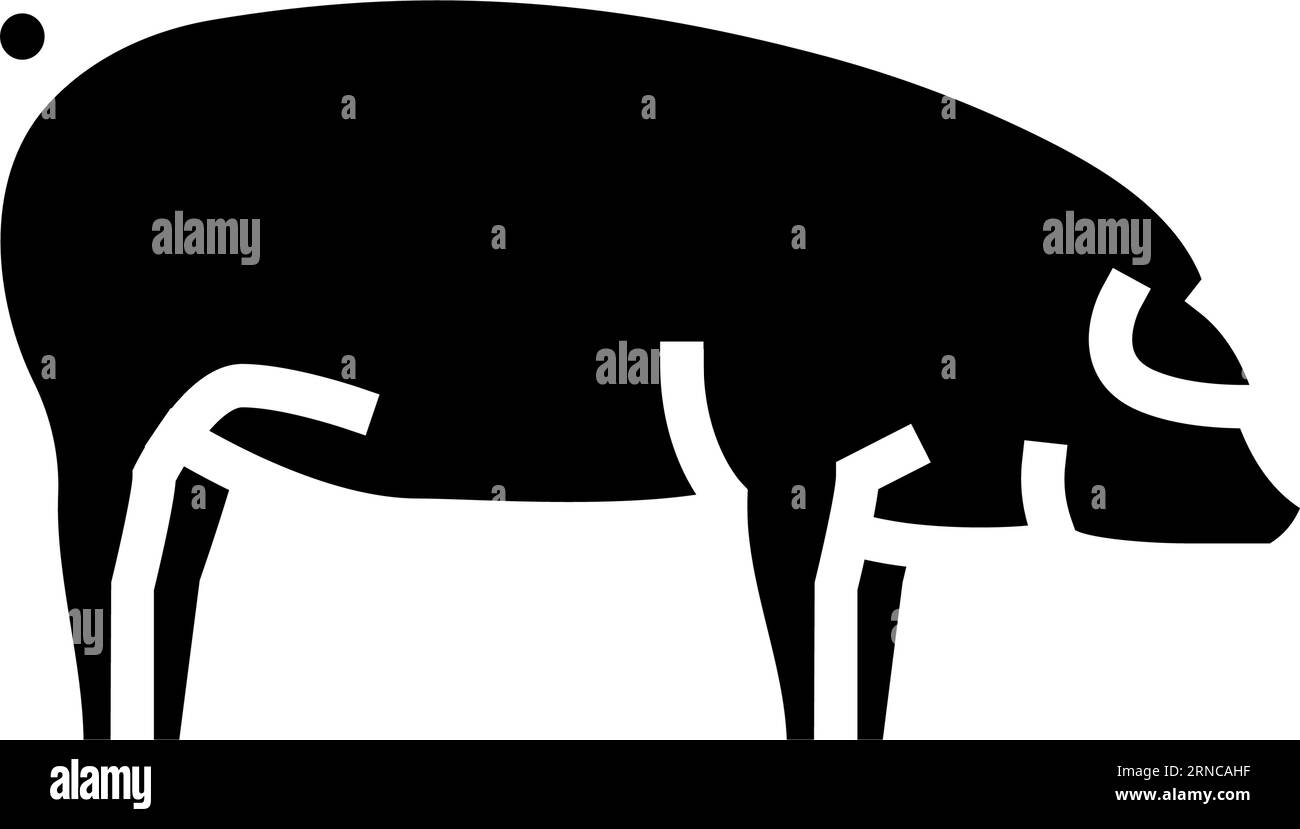 landrace pig breed glyph icon vector illustration Stock Vector Image ...