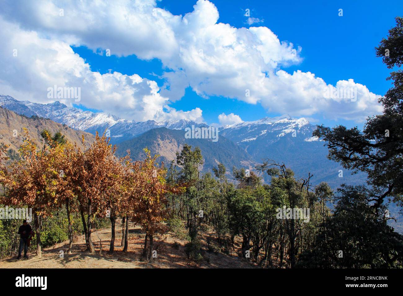A scenic view of Chandrashila trek with Chopra Tungnath, Uttarakhand ...
