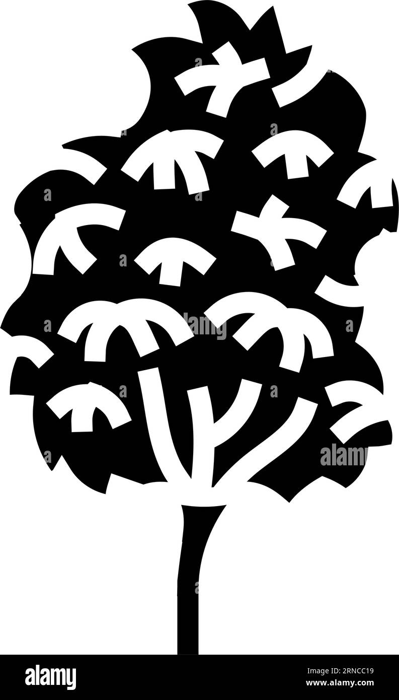 Kauri forest Cut Out Stock Images & Pictures - Alamy