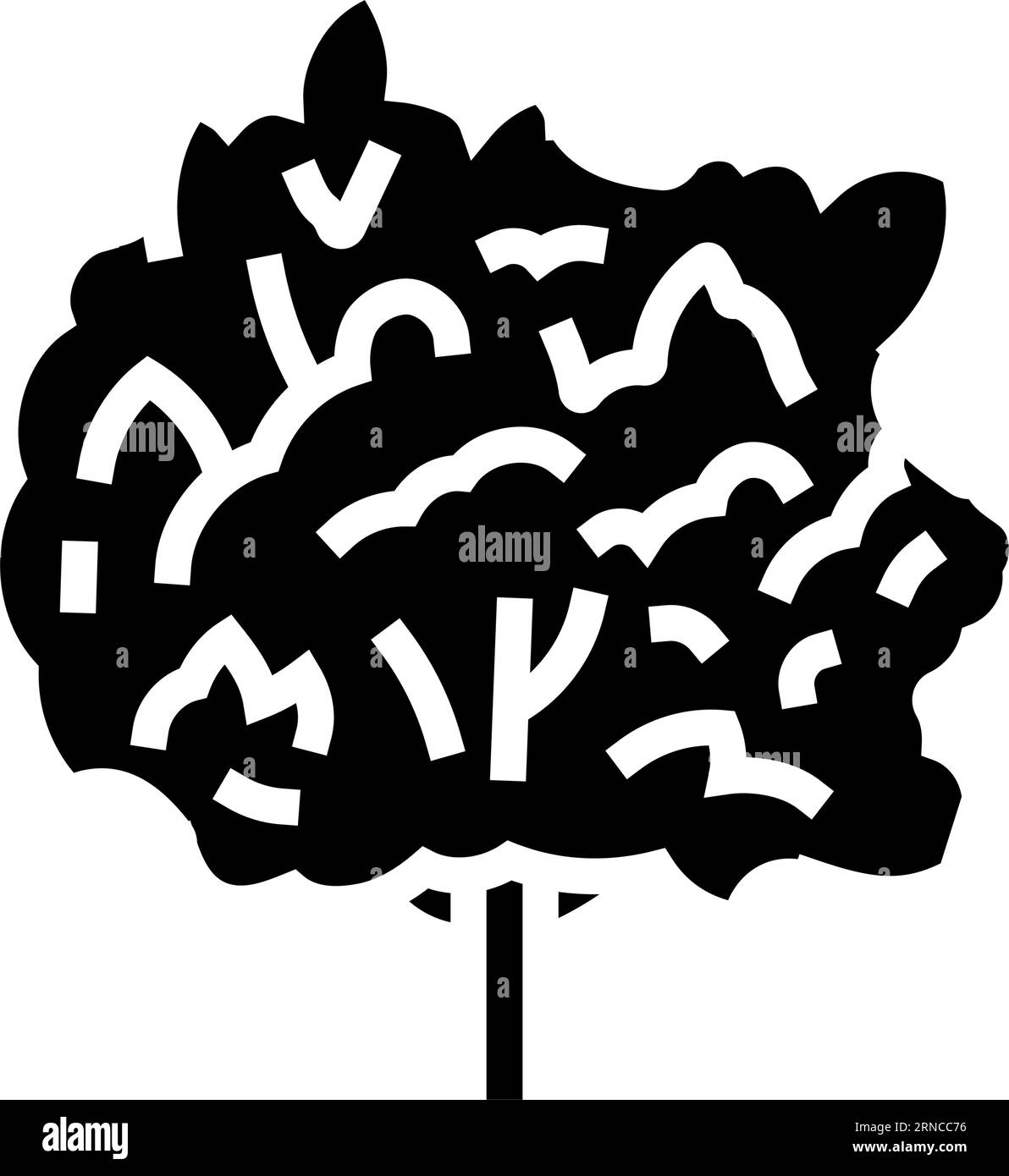 macadamia tree jungle amazon glyph icon vector illustration Stock ...