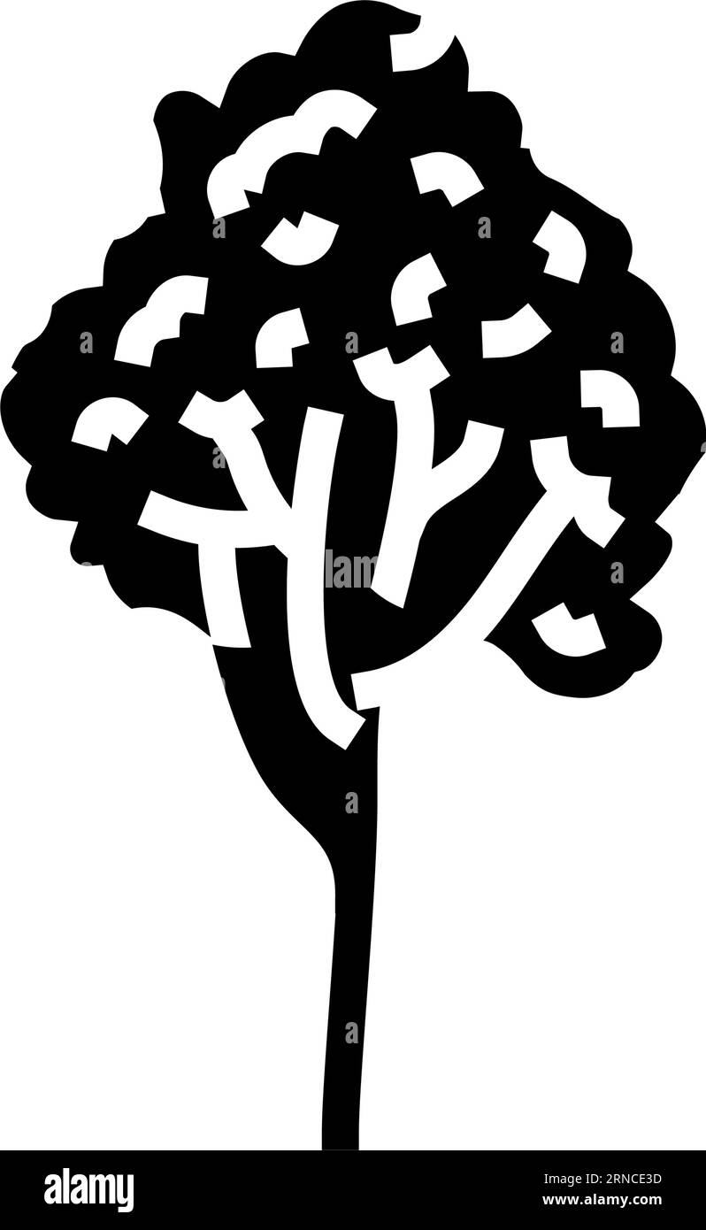 rubber tree jungle amazon glyph icon vector illustration Stock Vector ...