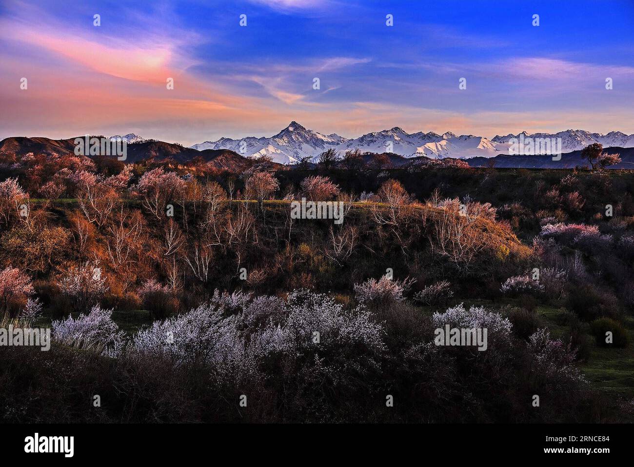 Shenxqiao hi-res stock photography and images - Alamy