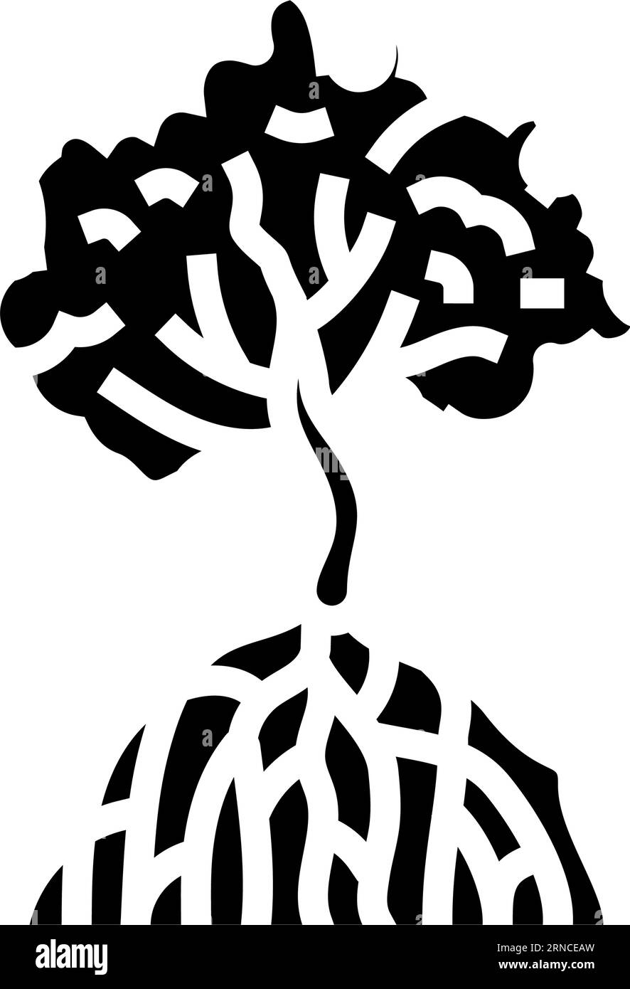 Black mangrove tree Stock Vector Images - Alamy
