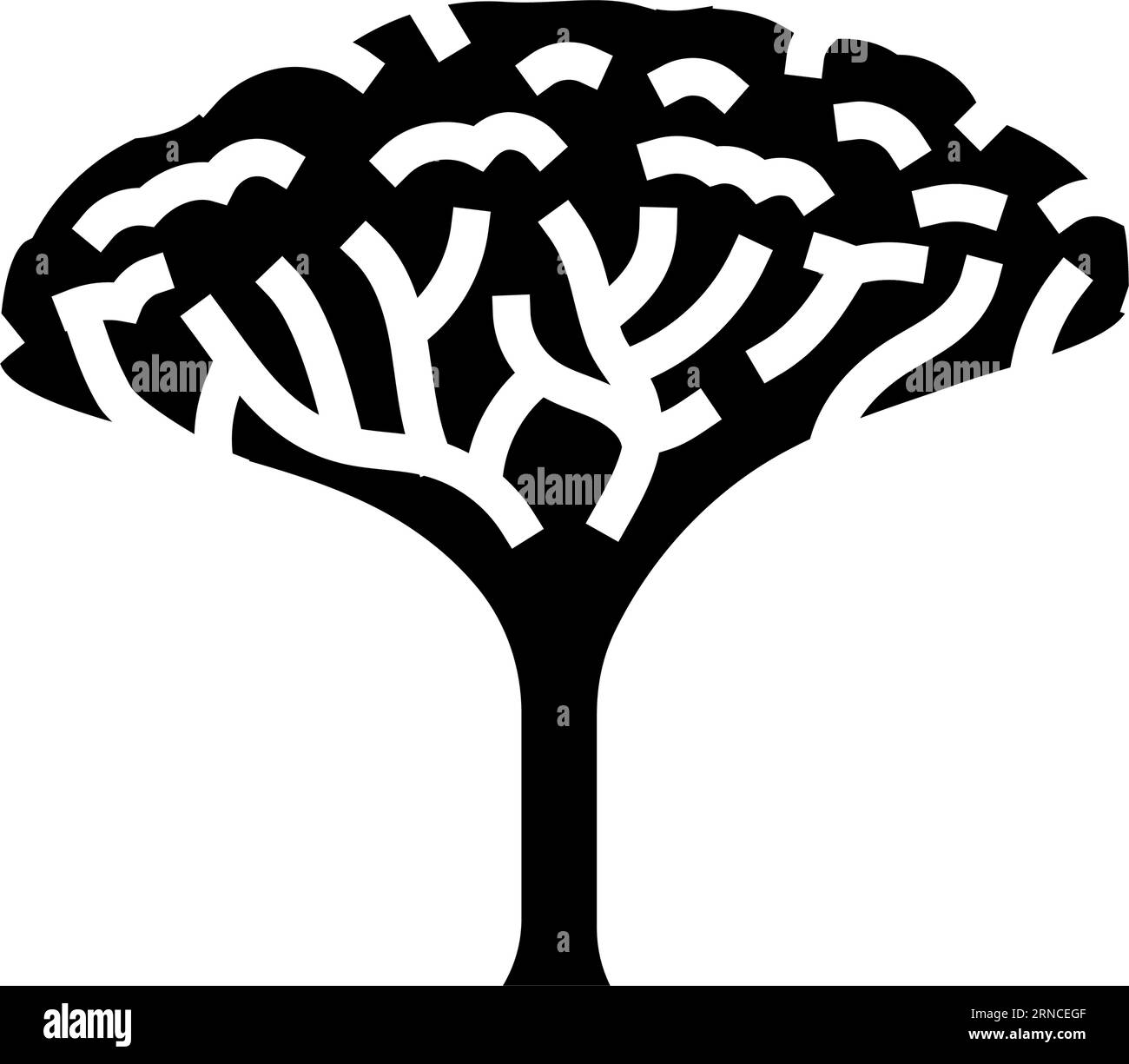 dragon blood tree glyph icon vector illustration Stock Vector Image ...