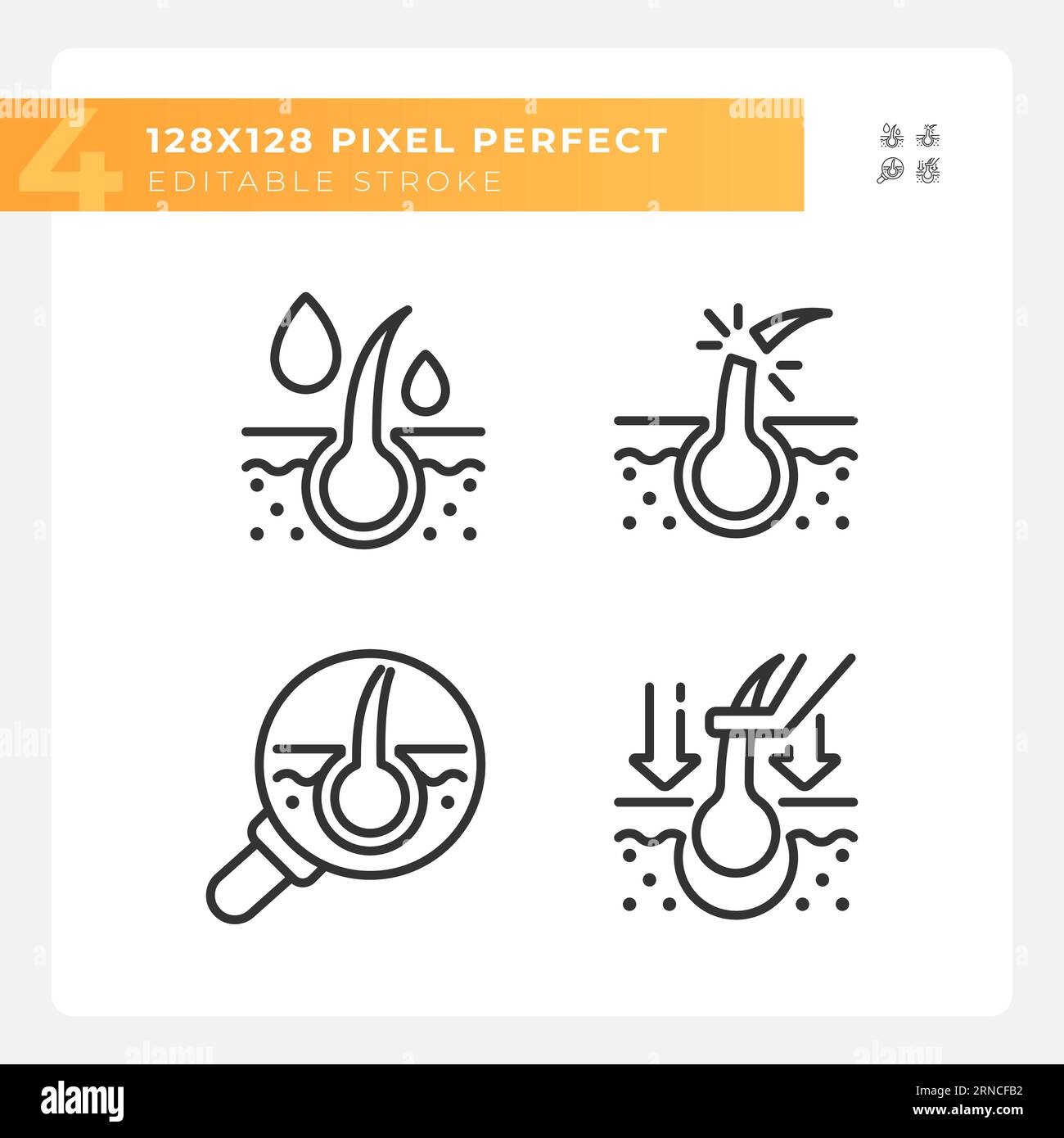 Hair transplant process Stock Vector Images - Alamy