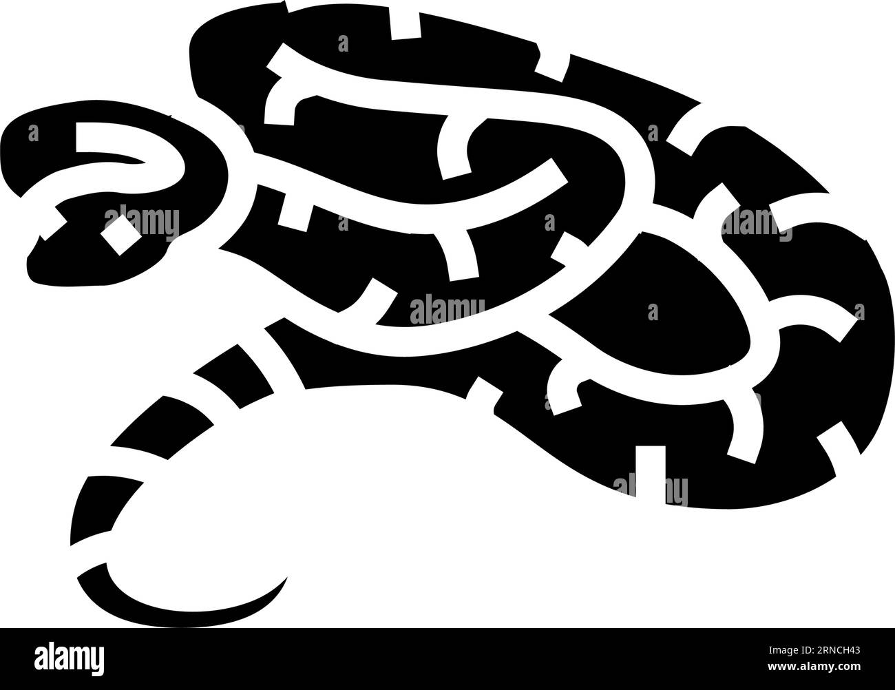 Boa constrictor serpent Black and White Stock Photos & Images - Alamy