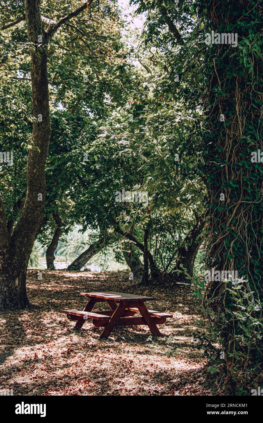 table bench in nature Stock Photo - Alamy