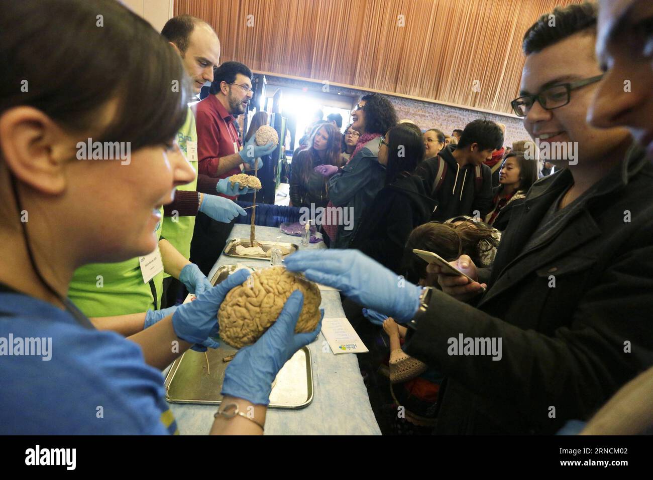 A resident feels the texture of a human brain specimen at the Brain ...