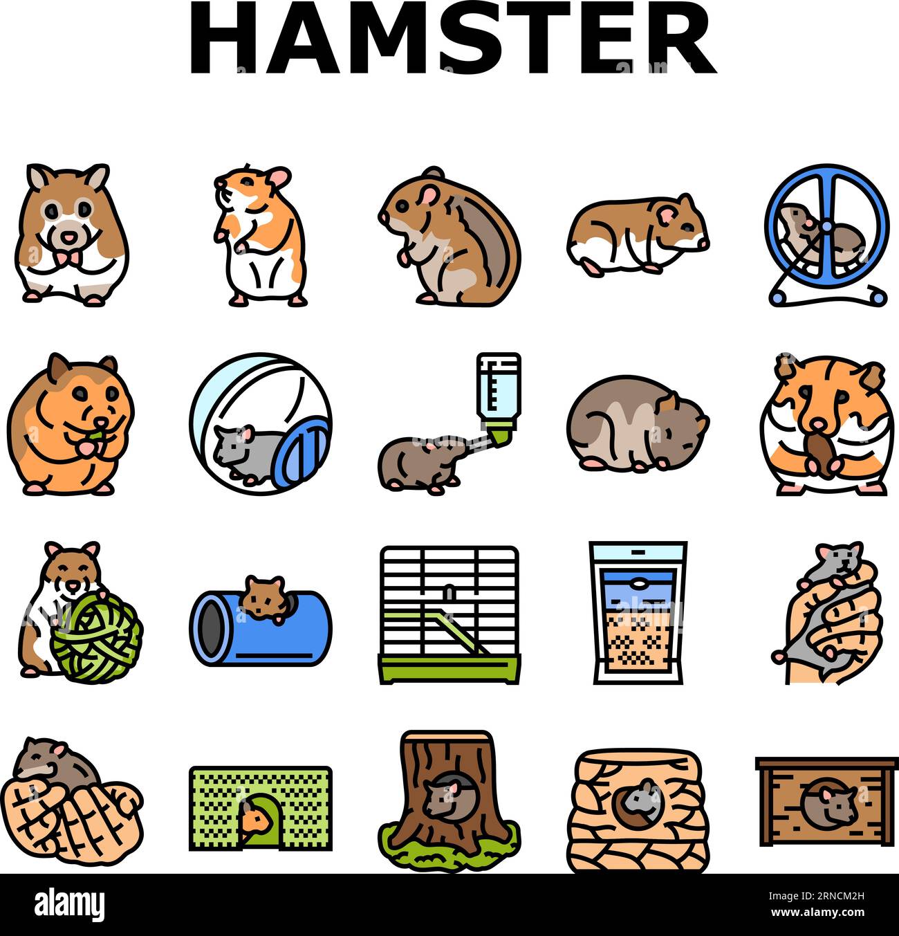 Hamster face logo hi-res stock photography and images - Alamy