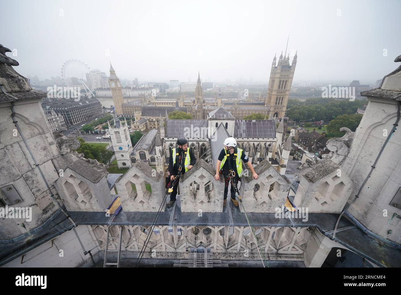 Abbey Lewis Of Great Britian