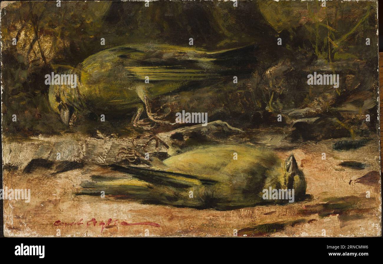 Dead birds 1921 by Curt Agthe Stock Photo - Alamy