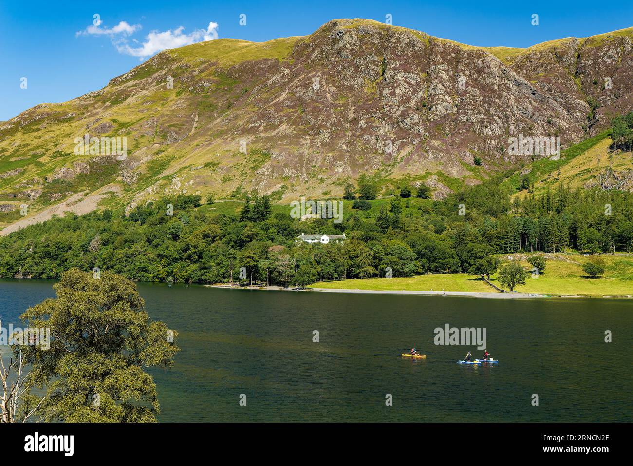 Swimming lake buttermere, lake district hi-res stock photography and ...