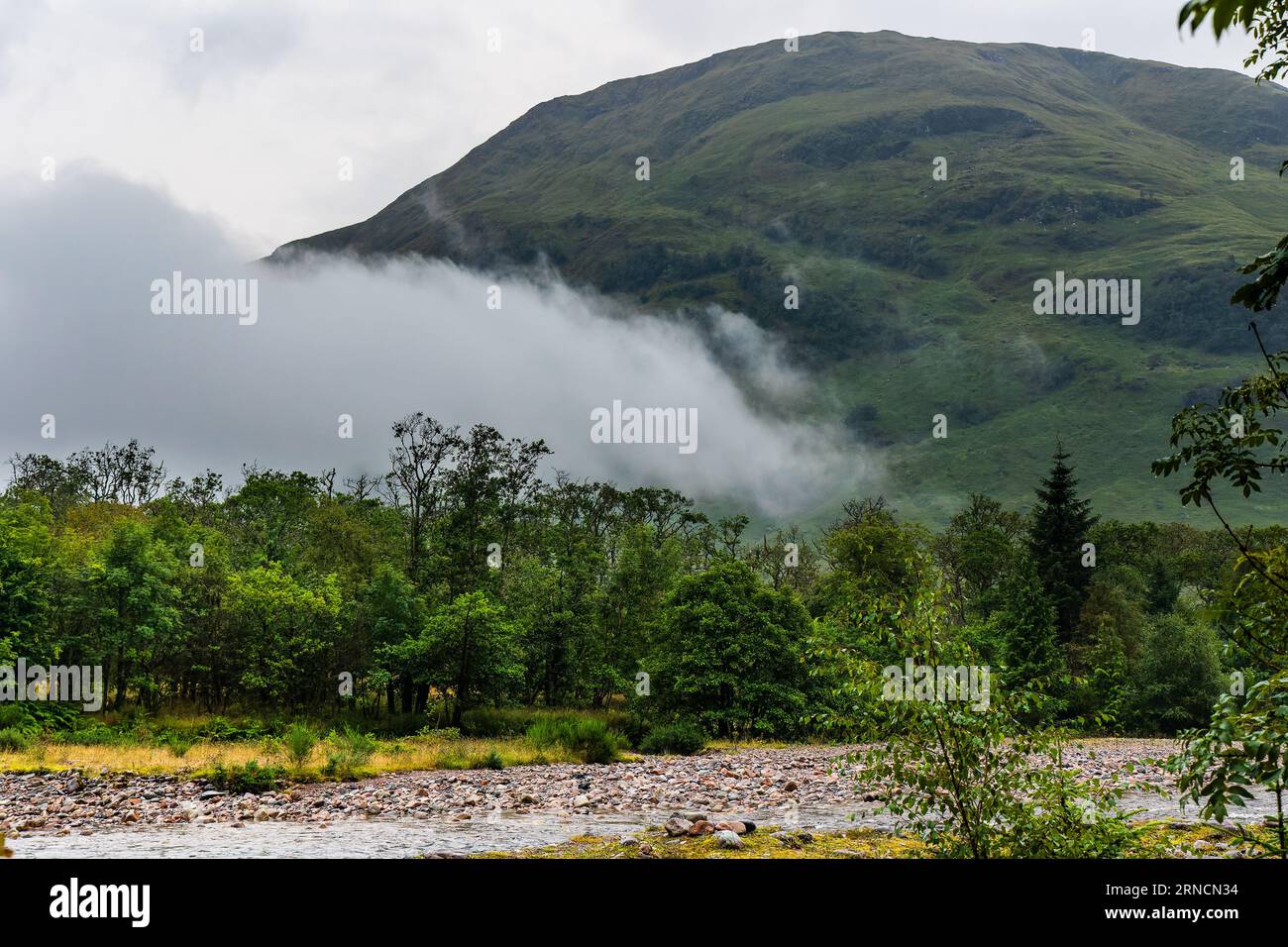 Low cloud and mist over a forest with mountain backdrop (Glencoe ...