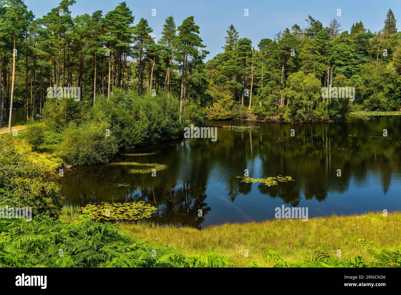 Small lakeland tarn hi-res stock photography and images - Alamy