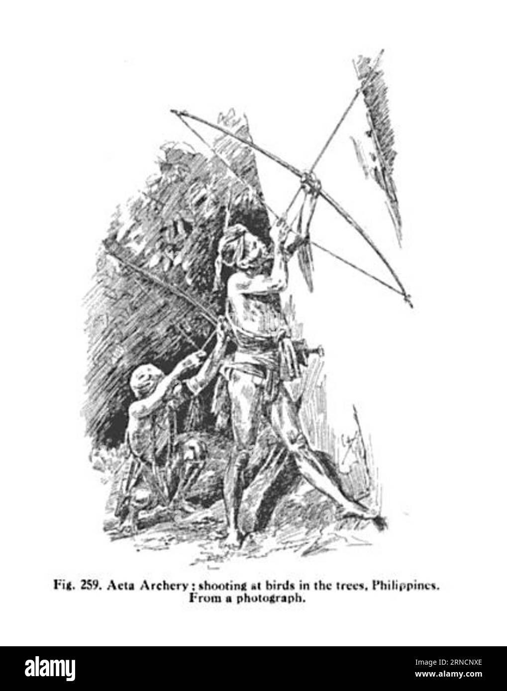 Vintage archer Cut Out Stock Images & Pictures - Alamy