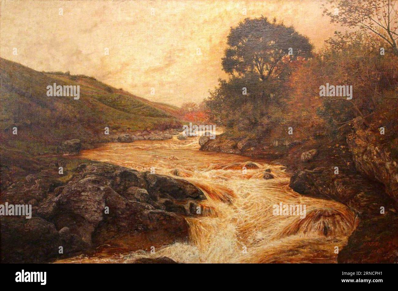 Walter bertram potter hi-res stock photography and images - Alamy