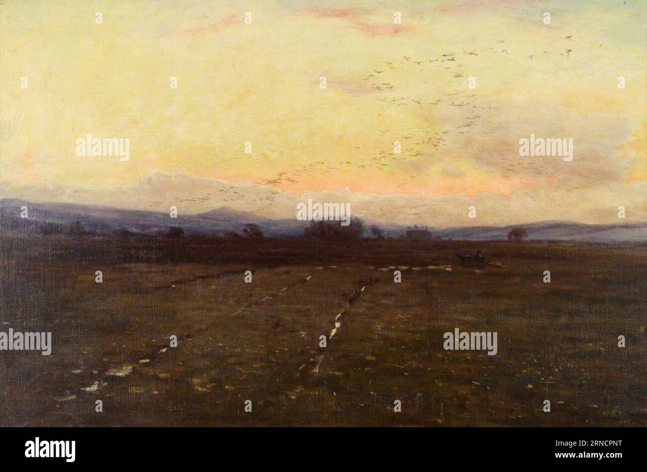 Walter bertram potter hi-res stock photography and images - Alamy