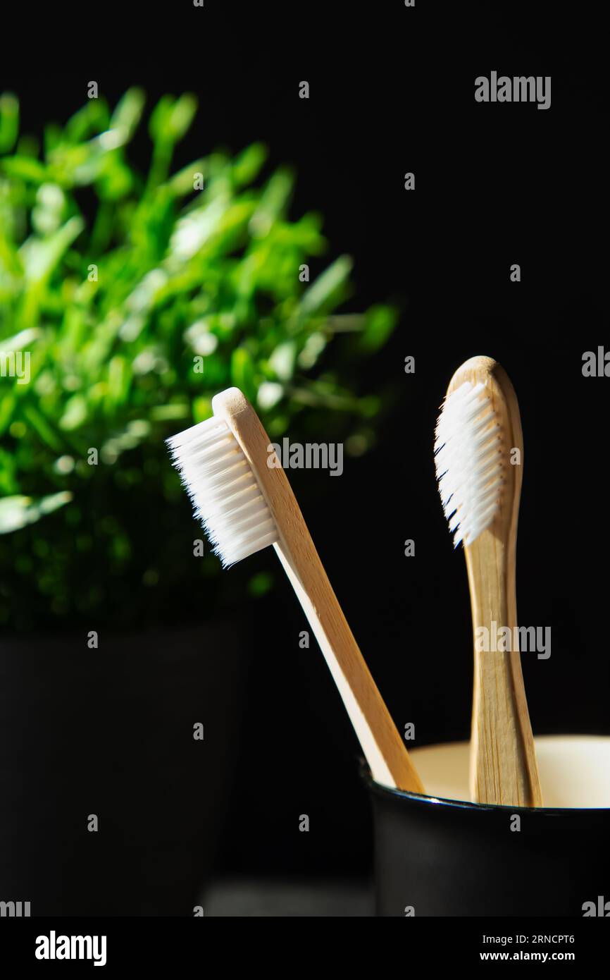 Natural bamboo toothbrushes, plant, towels on a black background ...