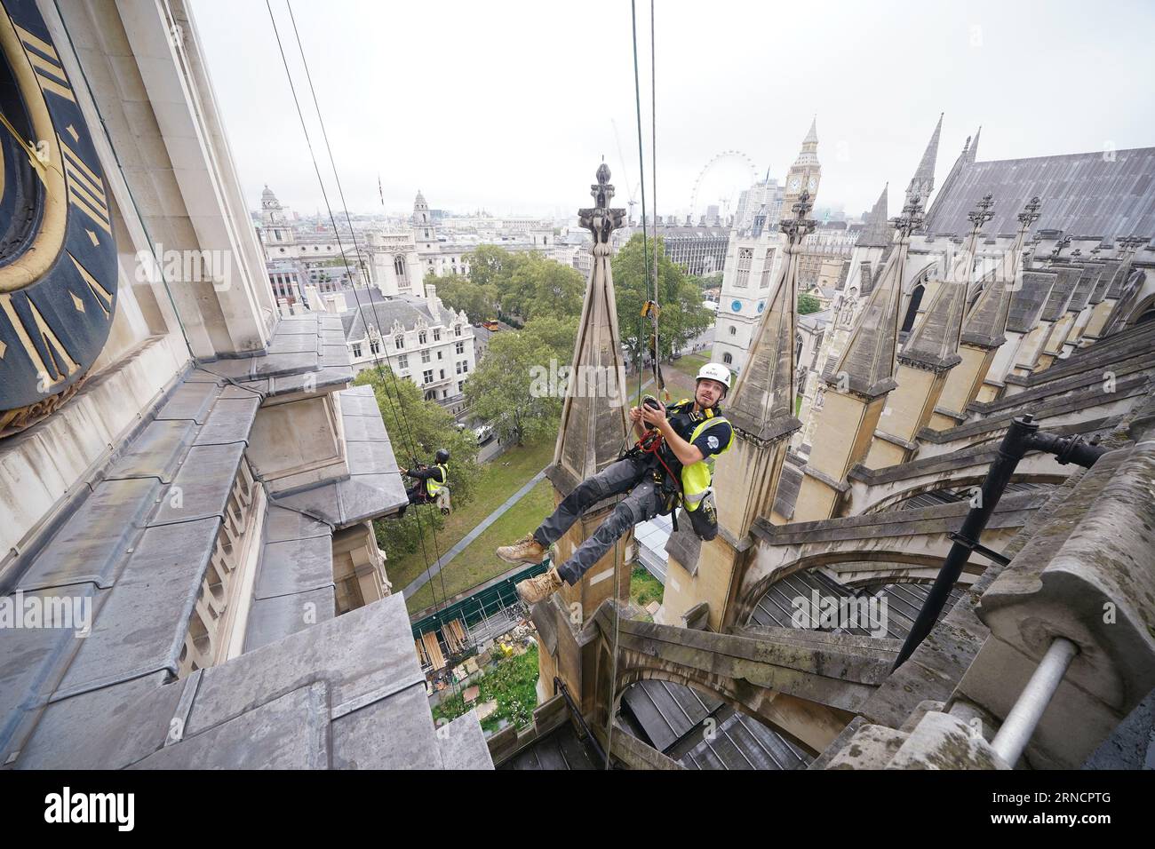 Abbey Lewis Of Great Britian